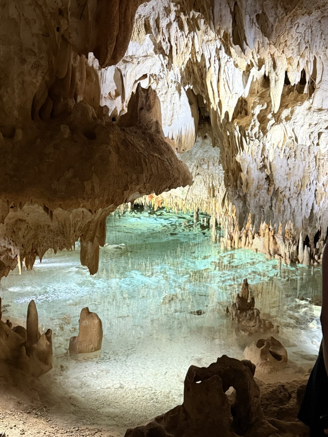 Our Favorite Activities in Grand Cayman: A Personal Island Escape ...
