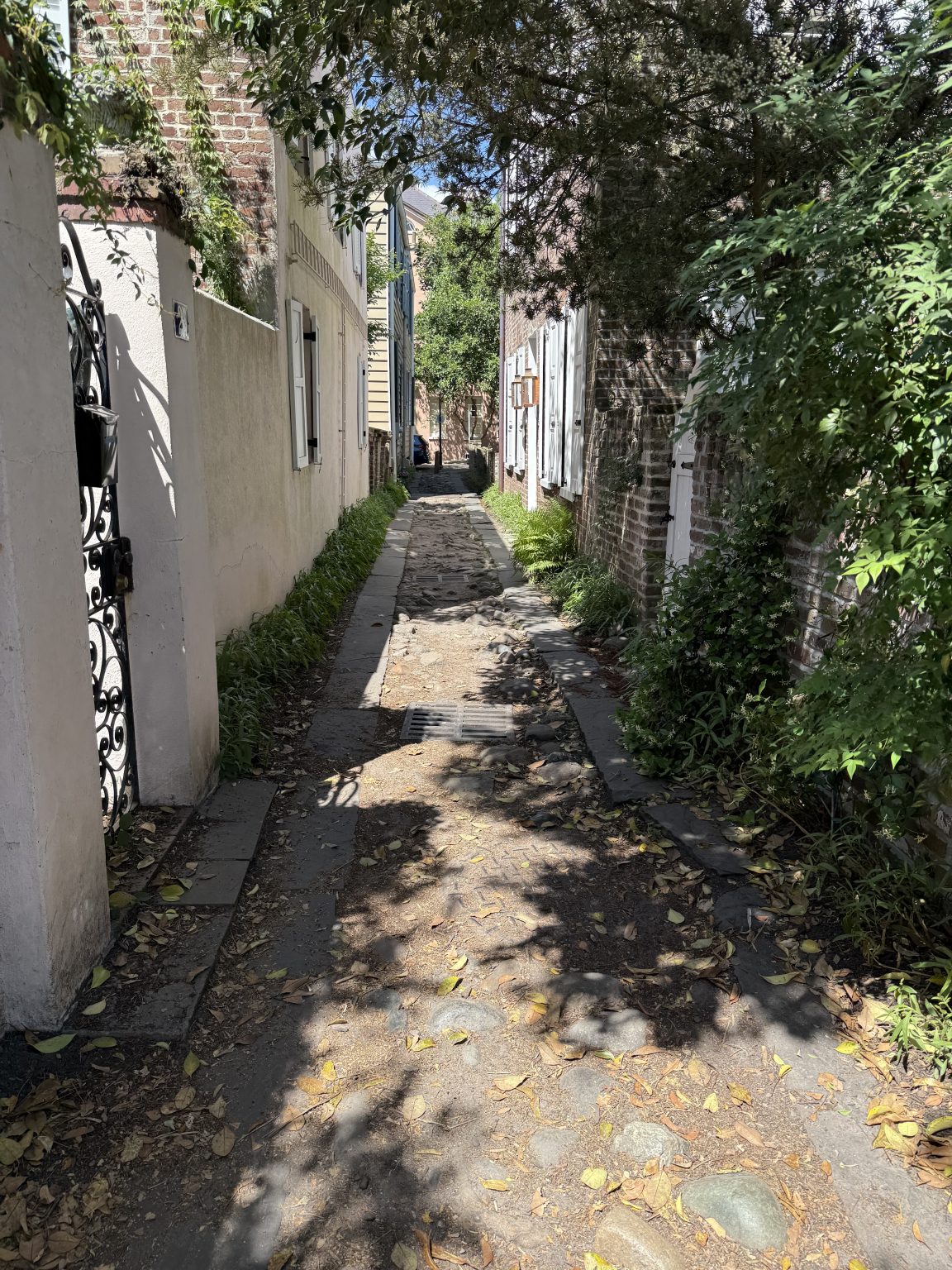 Charleston Hidden Alleyways (2025): A Local's Guide to Secret Streets ...