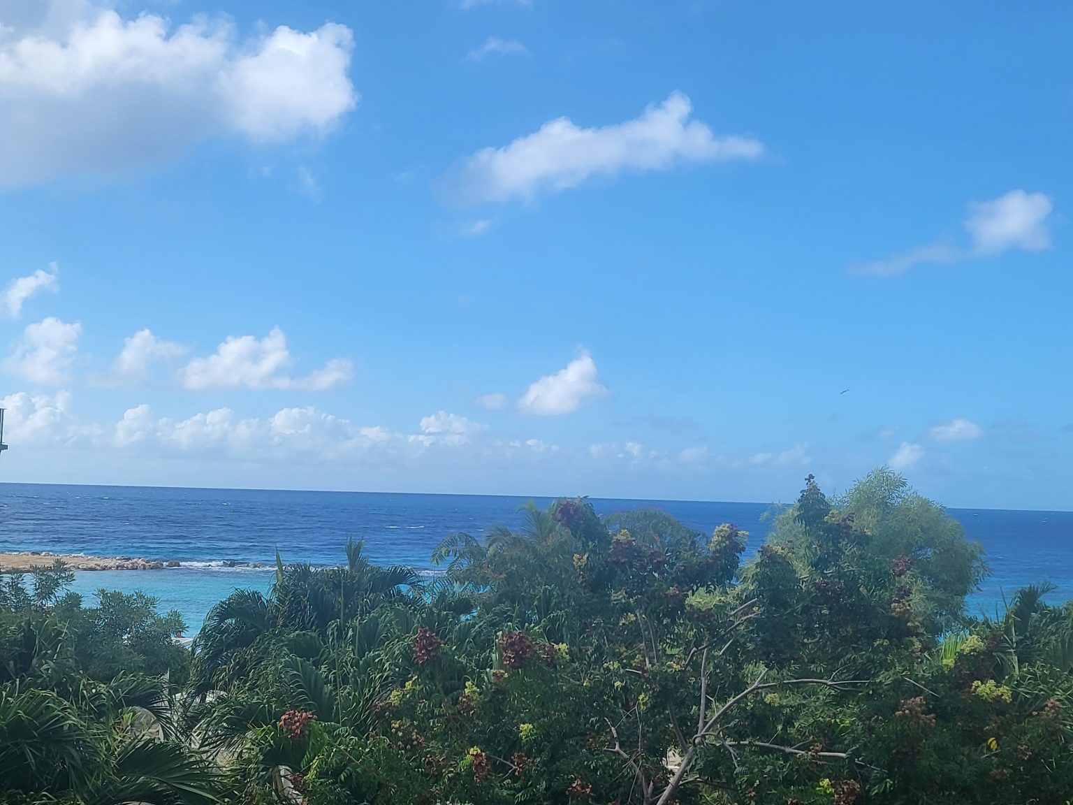 Hidden Gems in Curaçao: Off-the-Beaten-Path Adventures for Curious ...